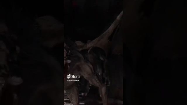 #метро2033 #метро метро 2033