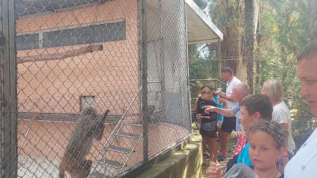 Город Сухум  (Абхазия) / Обезьяний питомник