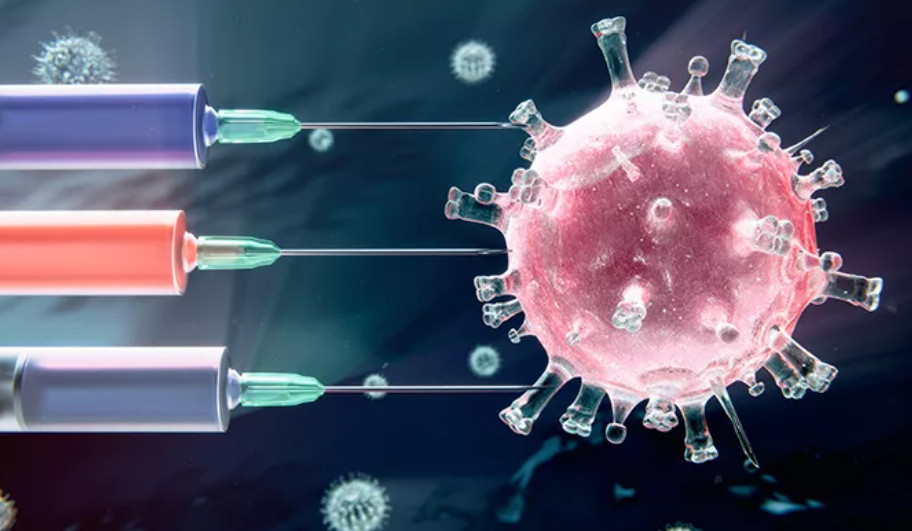 О вакцинации собак. Вирусы и виды вакцин