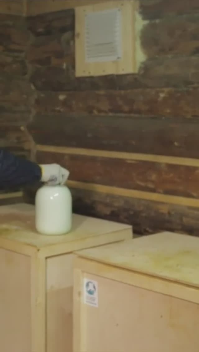 funny bears6#shorts./забавные мишки