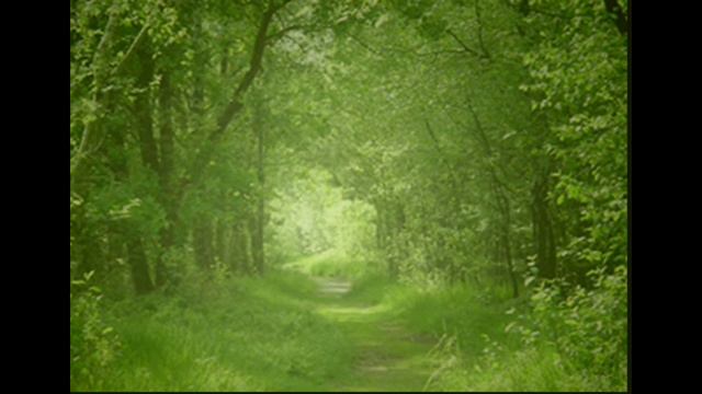 Эйр Бах музыка для релакса. Слушайте музыку на  Птенец чайки TV