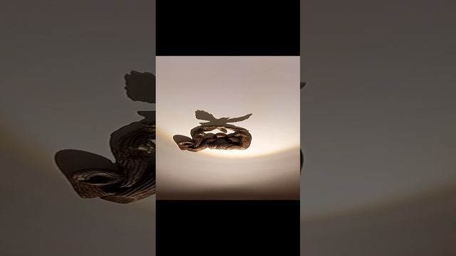 музей теней , спб , Питер , shadowmuseum shadow museum