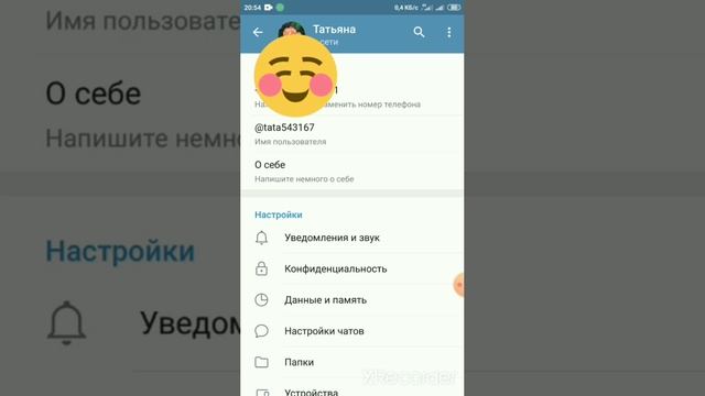 2. Настройки профиля Телеграм