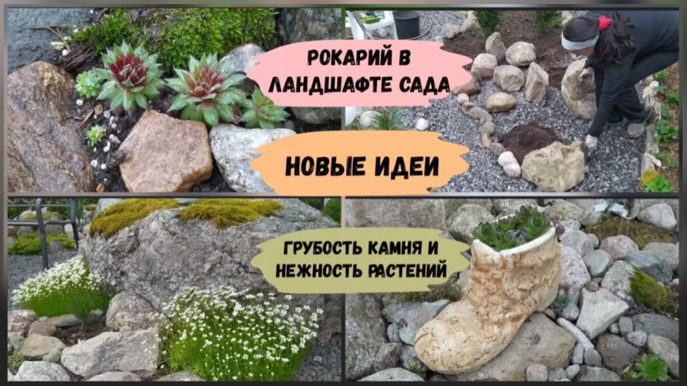 Рокарий в ландшафте сада. Новые идеи ( июнь 2022 г.)