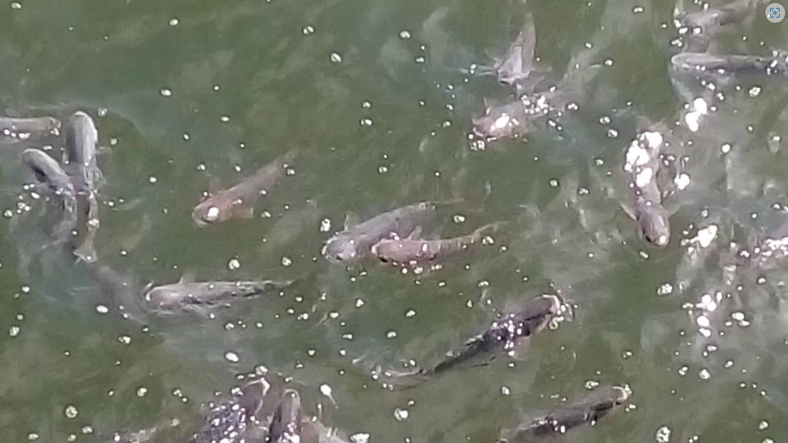 Мариуполь. Порт. Причал № 13