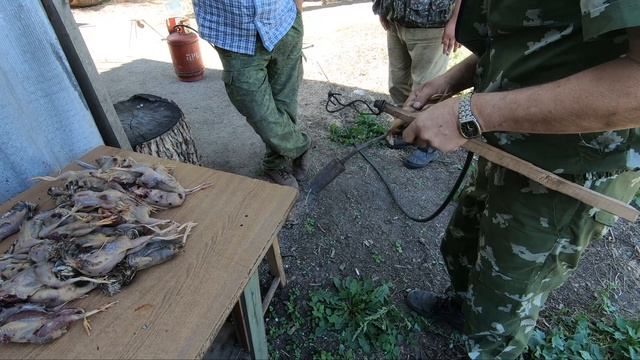 Открытие охоты, сезон 2020.