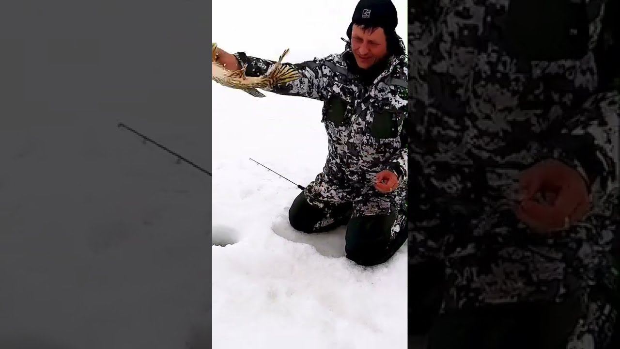 Щука наоборот #short #shorts