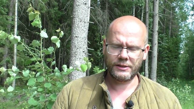 шекспир, сонет 132