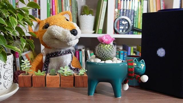 Выпуск №5 «Что едят растения?»