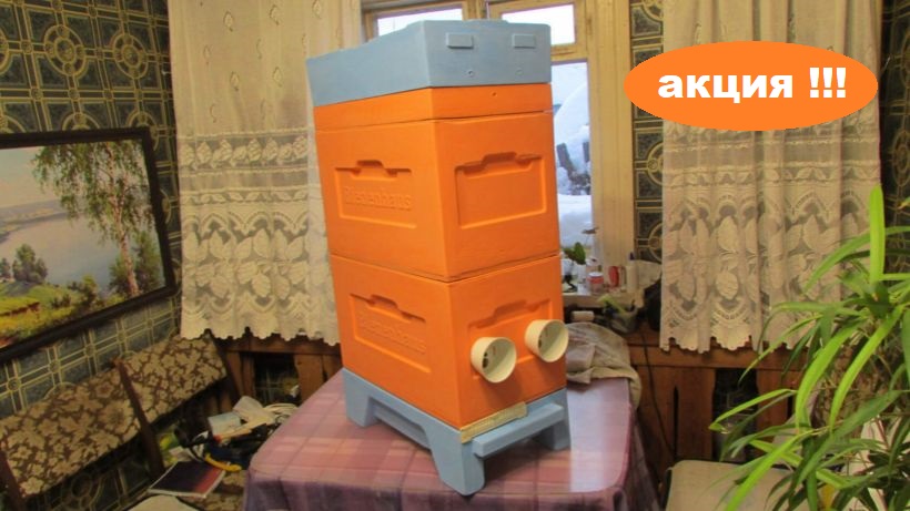 6 рамочные ульи на пасеке и акция на фирме BienenHaus c 25 ноября по 2 декабря 2022 года