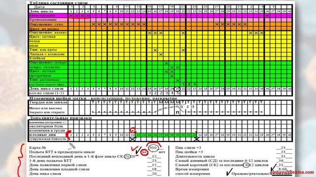 СимптоТермальный Метод Распознавания Плодности (СТМРП, СТ-метод) - Урок6, Часть1.