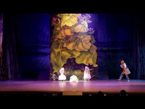 "ГАДКИЙ УТЕНОК"