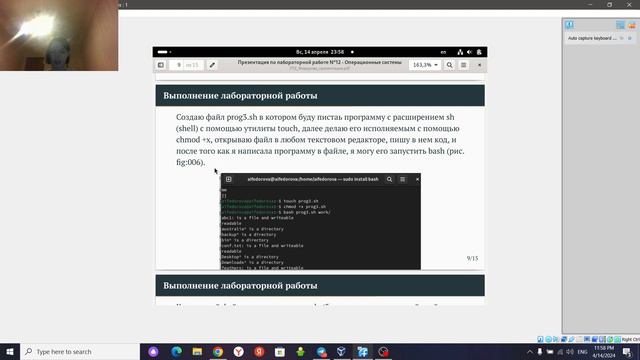Лабораторная работа №12 защита презентации