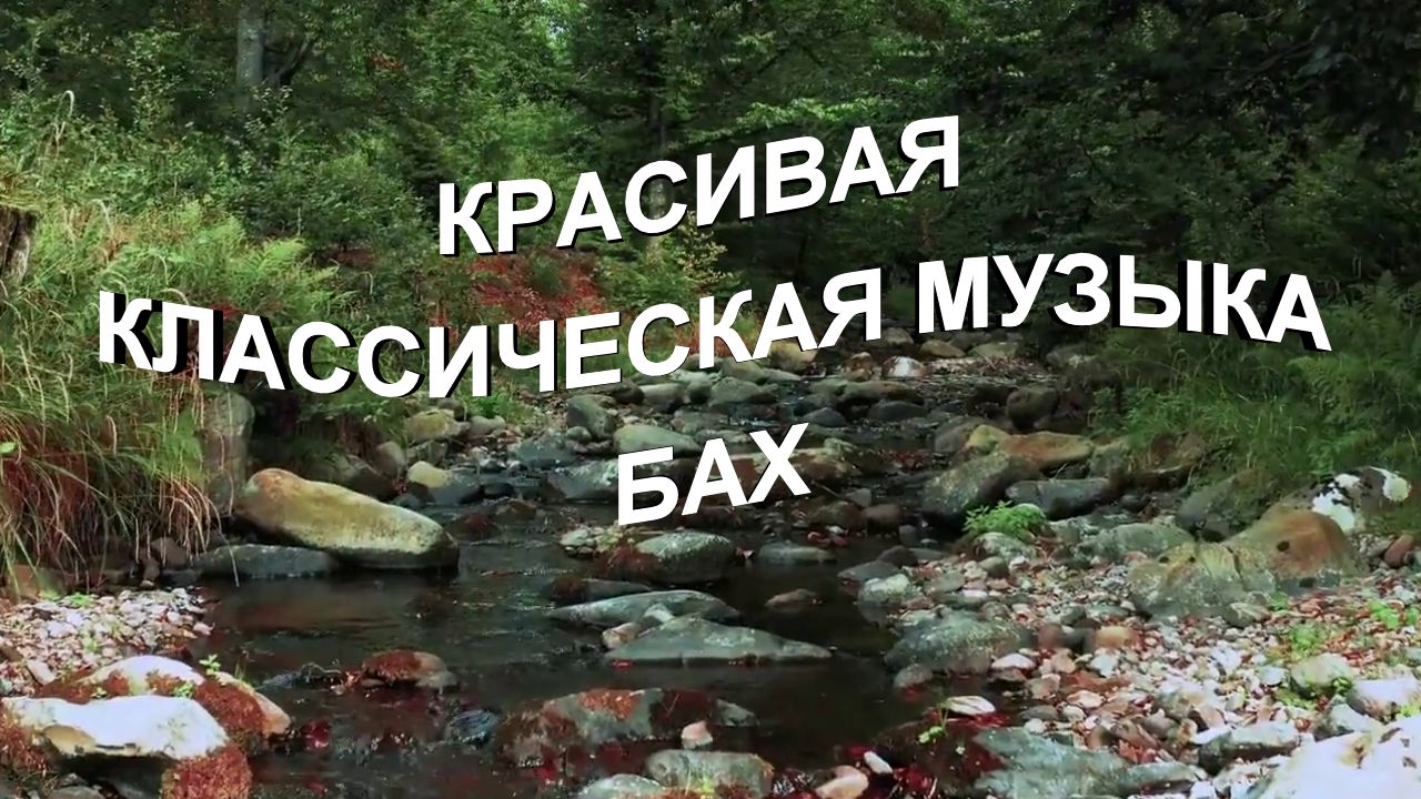 Красивая классическая музыка Бах