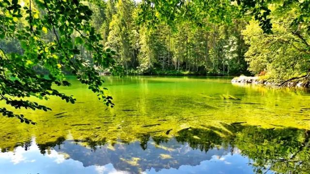 Подмена духовных ценностей