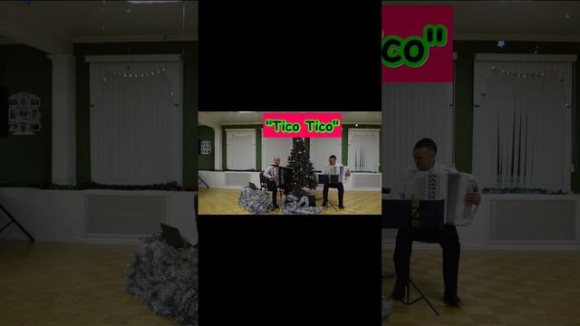 Tico Tico. Accordion. Тундр - Дуо. Баянист. Баян. Аккордеонист. Аккордеон. Гармонист. Фольклор.