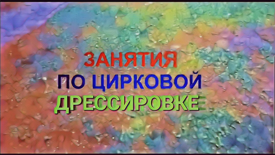 Занятия по цирковой дрессировке