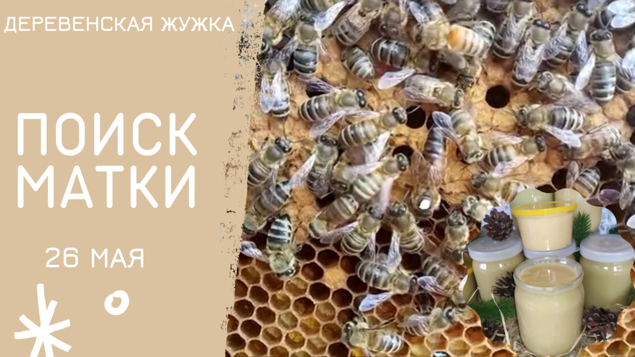 Пчелы. Семья на трех корпусах. Поиск матки Часть 1 (Bee.)
