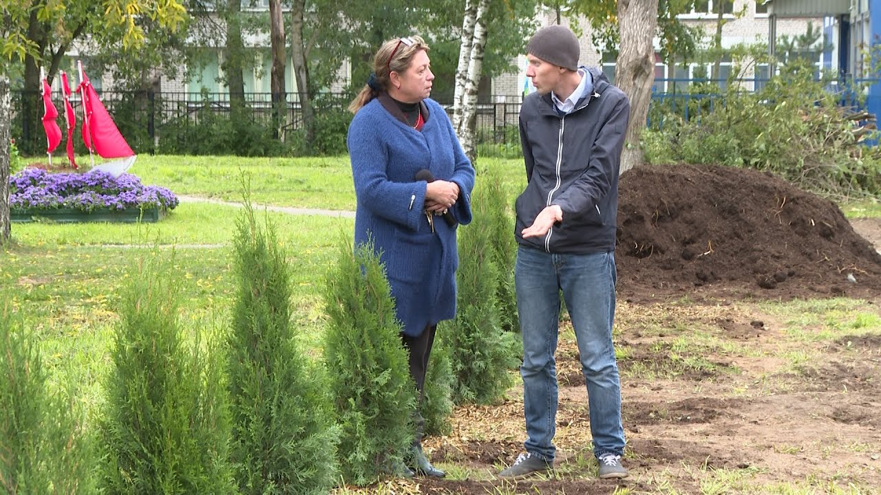 Здравствуй, дерево! # 6