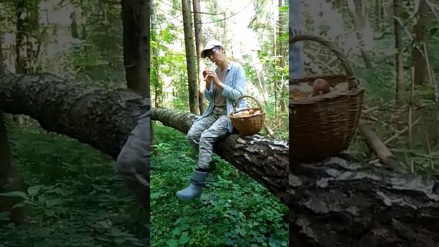 по грибы со свирелью