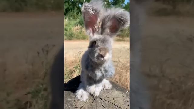 VID_20221220_223104_161.mp4