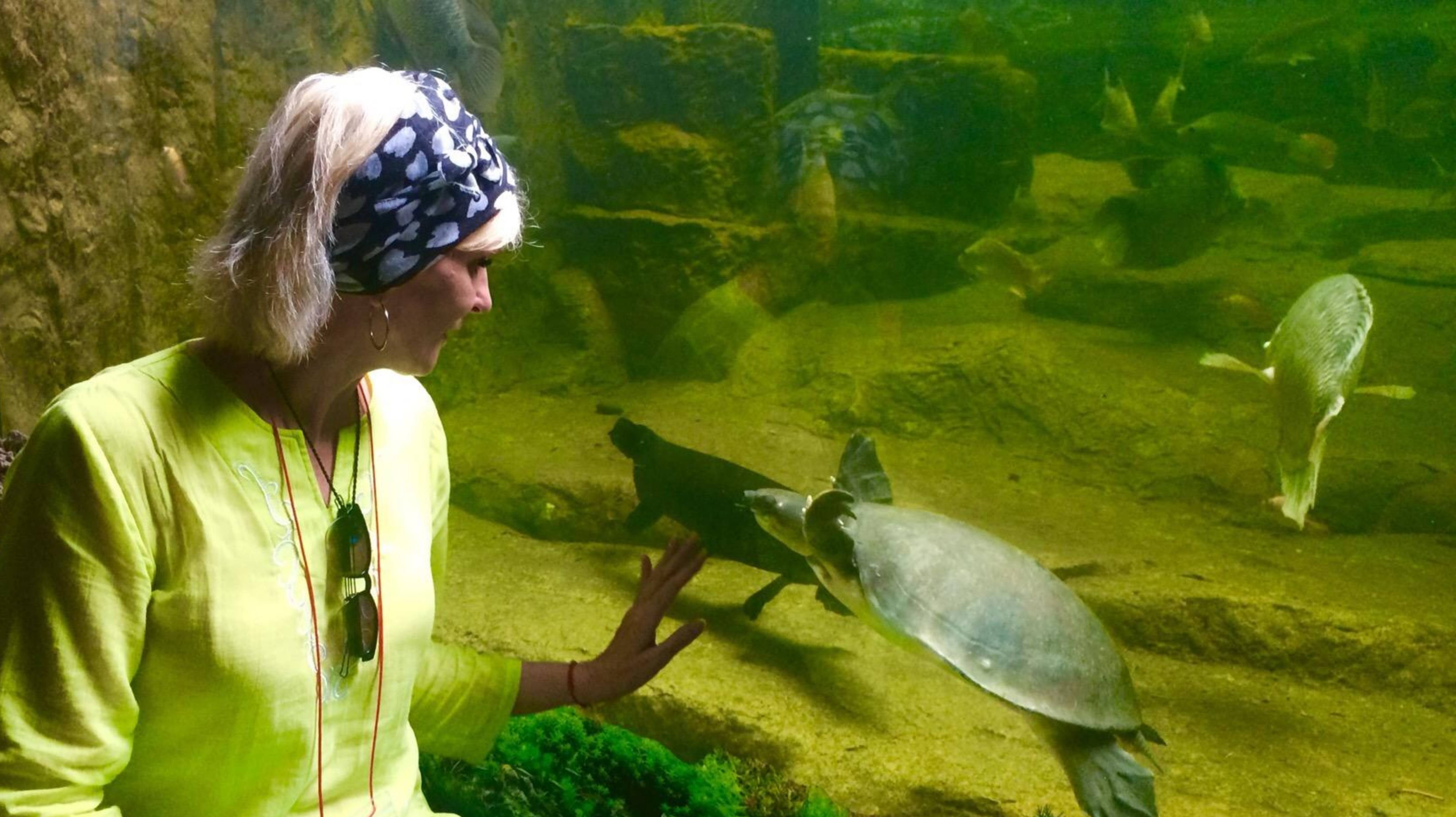 Мой отпуск в Тайланде