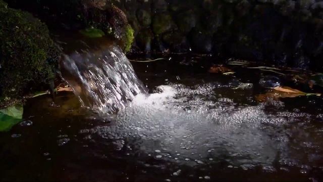 Бета-активность мозга• Достижение высокой концентрации• Решение проблем• Повышение уровня I.Q.