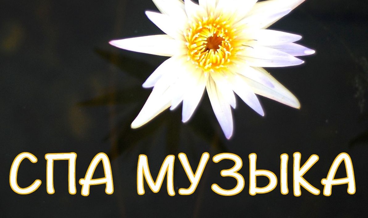 ? музыка для релаксации?Журчание воды?