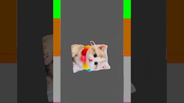 Недели котёнок Shorts (11)