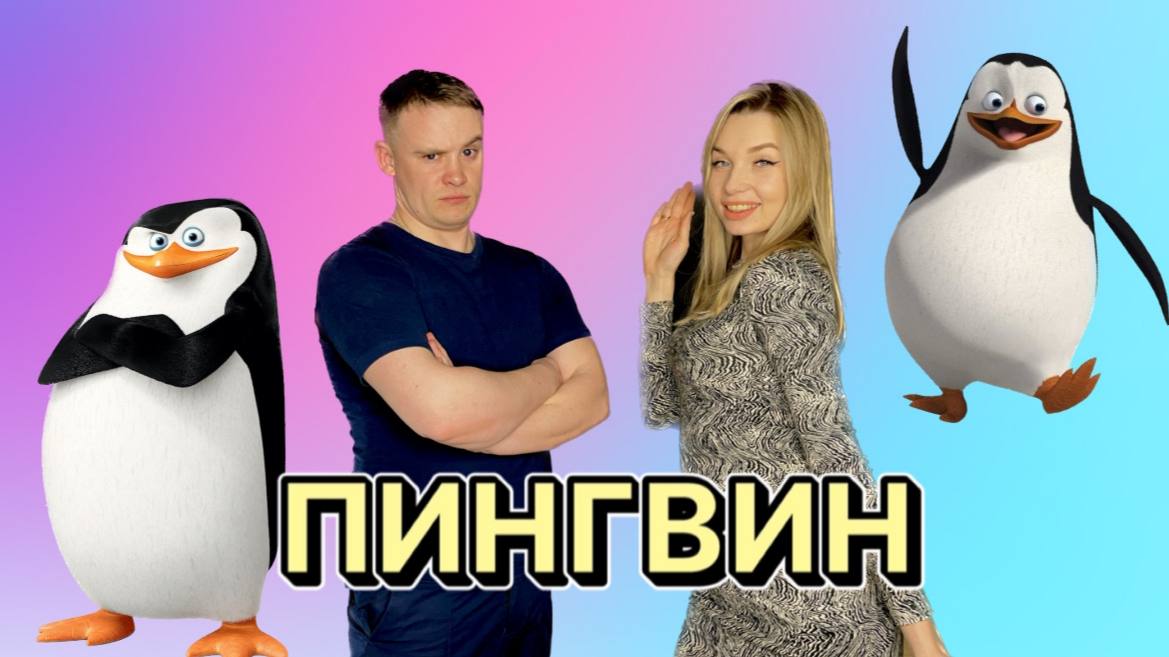 Животный мир. Очковые пингвины.