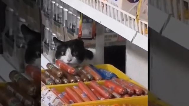 Это конфискуется