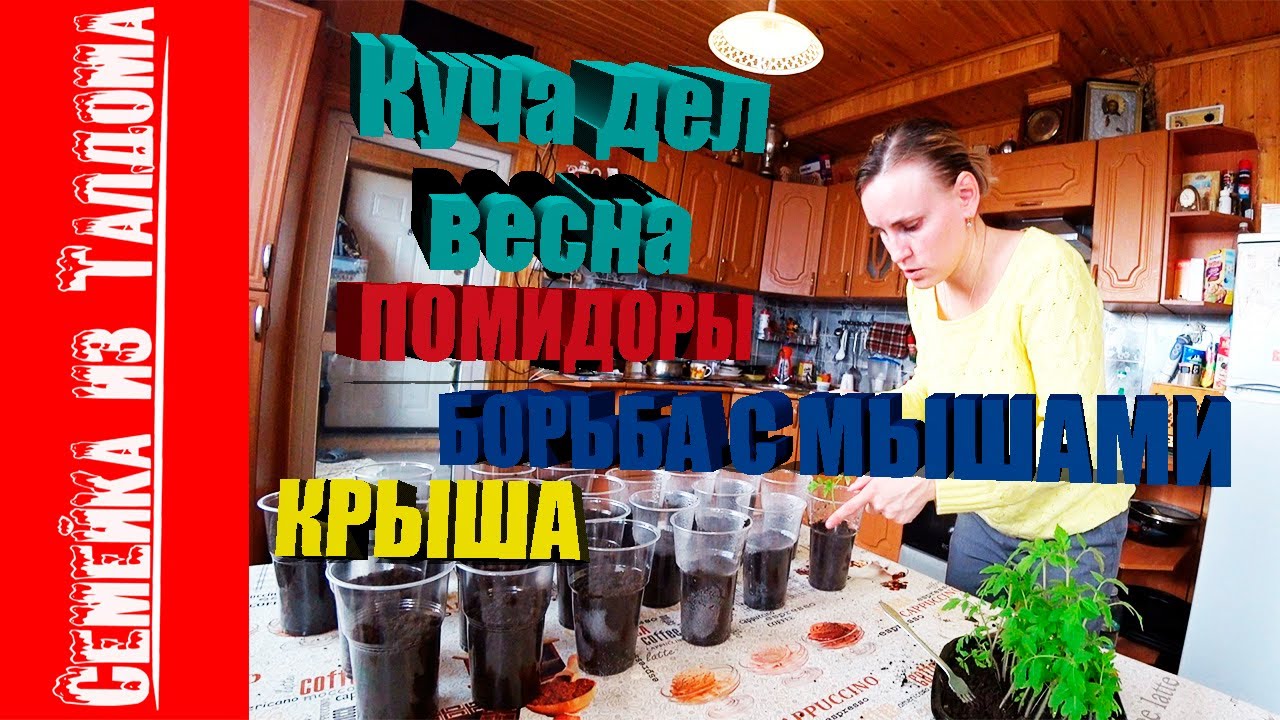 Весна, куча дел,крыша,помидоры,мыши).mp4