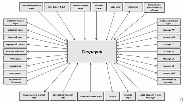 11.2 Подробное разъяснение. Скорлупа