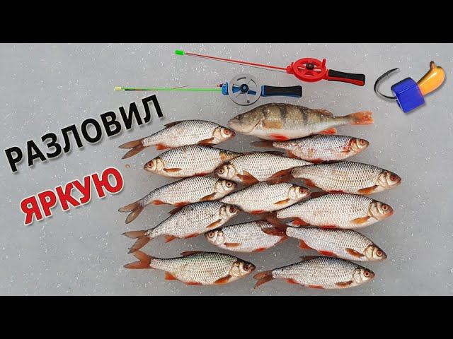 Безмотылка с комментариями - подбираем и чередуем приманки - удивляем плотву