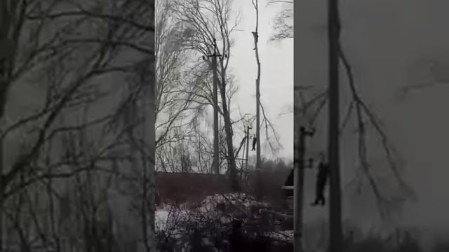 И что теперь делать #ПРИКОЛЫ #УГАР #ЮМОР