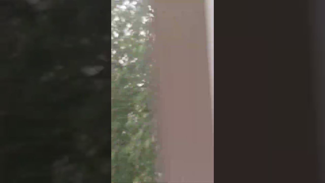 ух погода #дождь