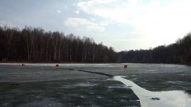 Украли снег! Лес оживает! Весна в Измайлово! Уткины свадьбы! Дупло-мутант пугает посетителей!.mp4