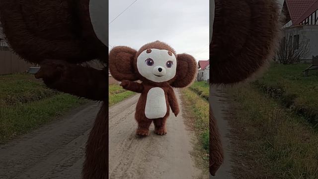 Аэрочебурашка.