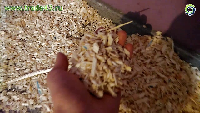 Презентация садового измельчителя МР300 с ЭД 220 от ООО "СтанкоЛес-Трейд"