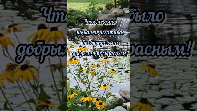 Посмотри, какой новый день🤗💐#еленаваенга#доброеутро#shorts