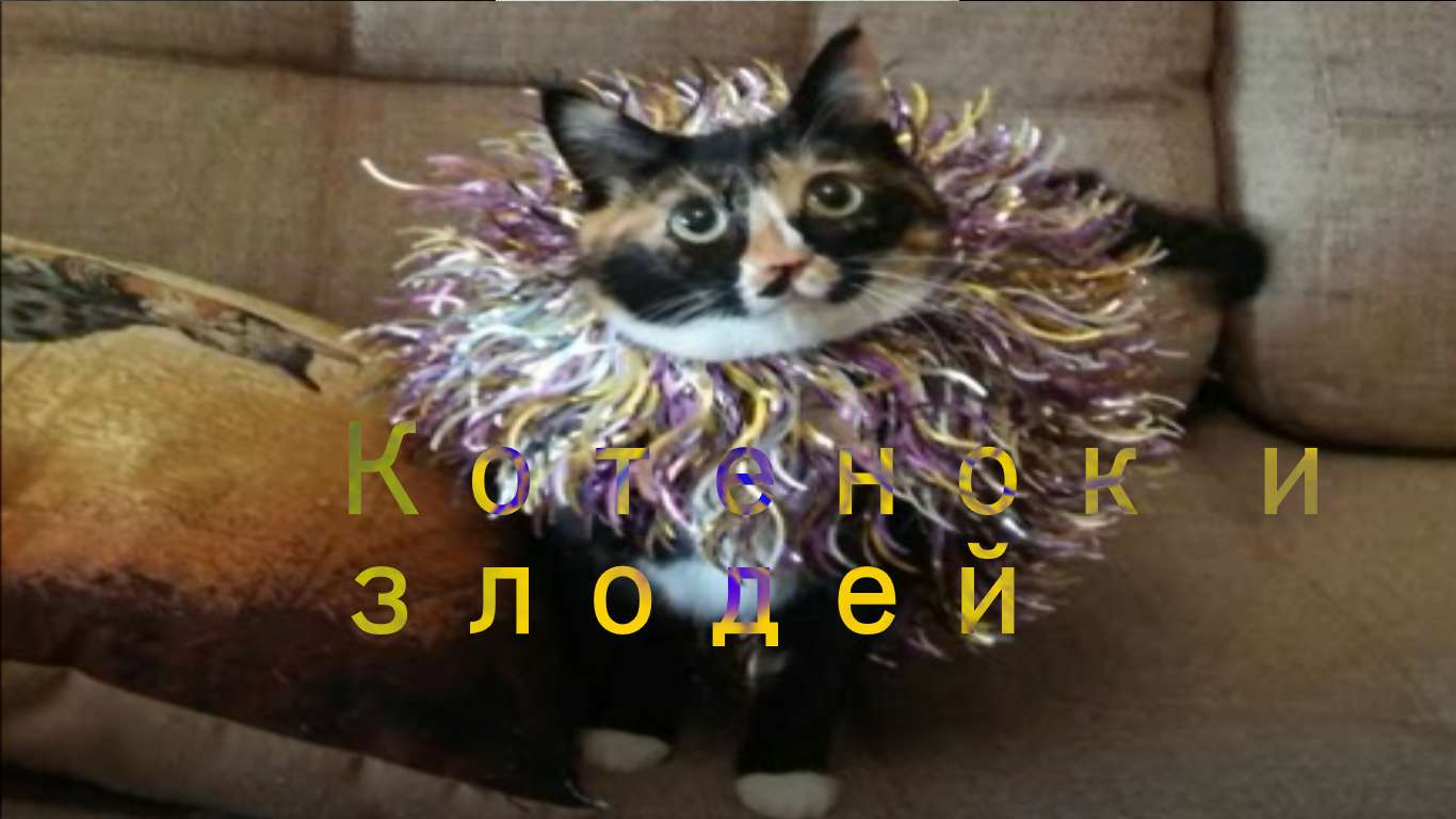 Котёнок и Злодей