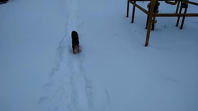 4 марта 2018  г.