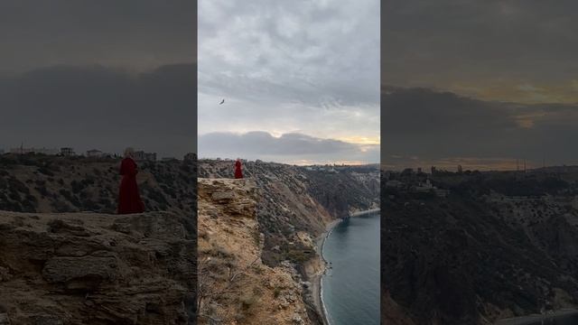 Фиолент птицы на рассвете