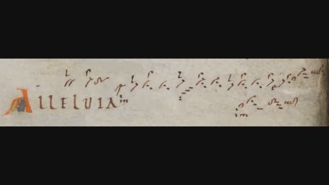 Alleluia Iustus Germinabit sicut lilium