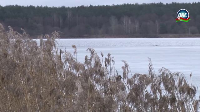 События 12 декабря 2023 года / Аванс, залог или задаток / Ёлка / Круглый стол / Новости