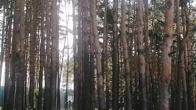 База отдыха ЧИЖИК (Превью)