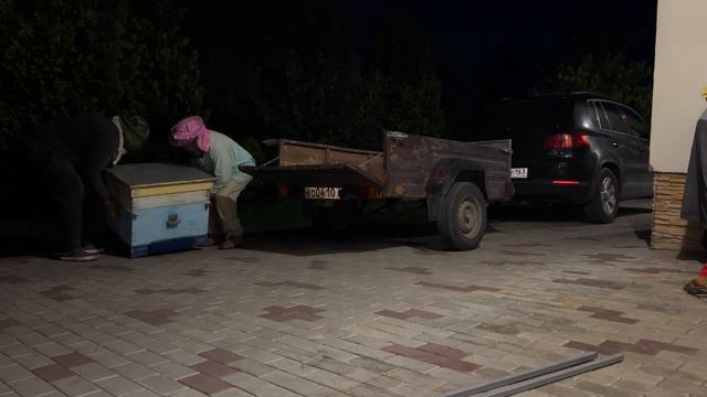 Раскрылся улей, что делать? Обсуждаем аппарат против пчелиного клеща! 🐝 2