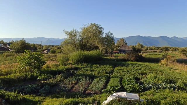 Поездка в село Теректа Усть-Коксинского района