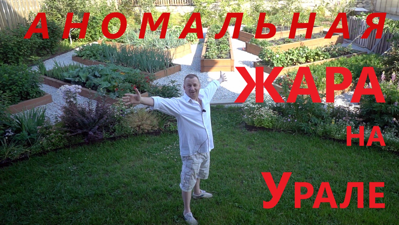 Аномально жаркий июль. Как мы выживаем две недели изнуряющей засухи