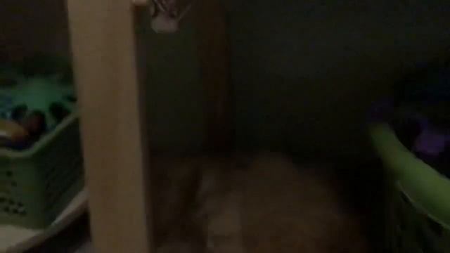 Мурзилка дурачится